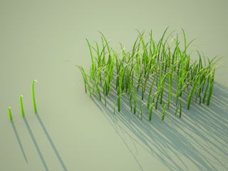 Itoo Software Tutorial Realistic Grass Forest Pack RailClone for 3ds Max