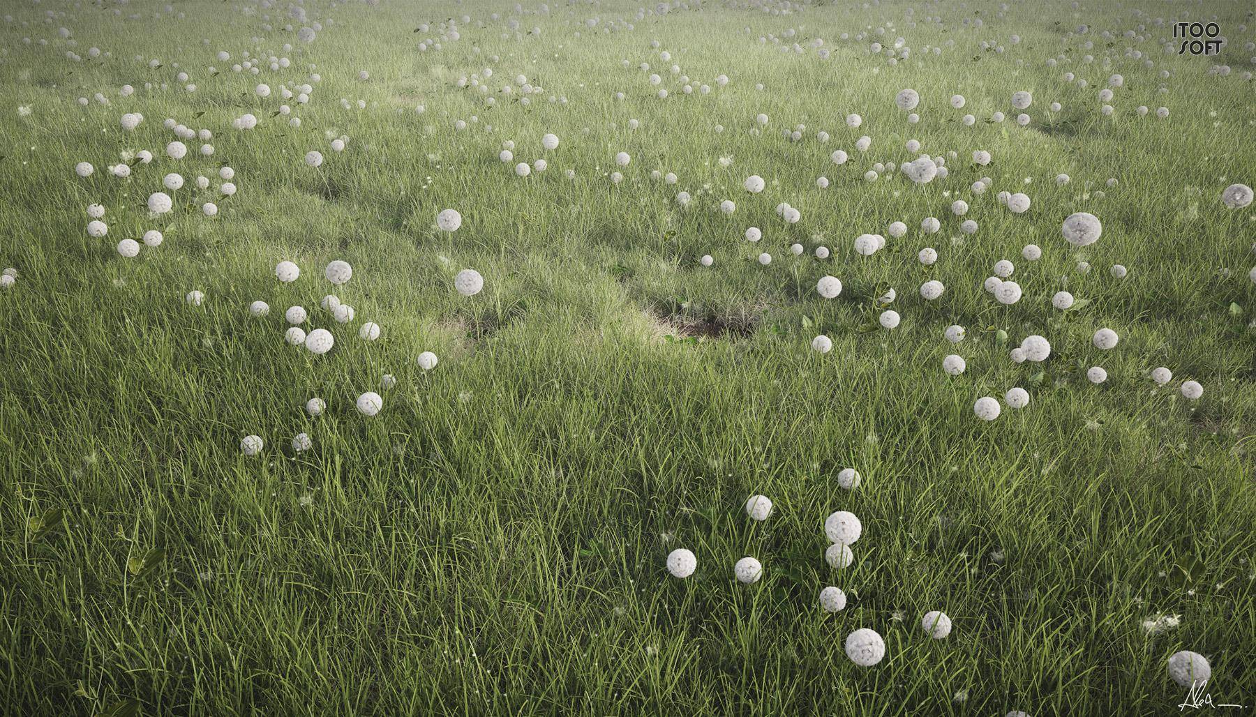 Gallery - Real Plants by Alexandre Jarek