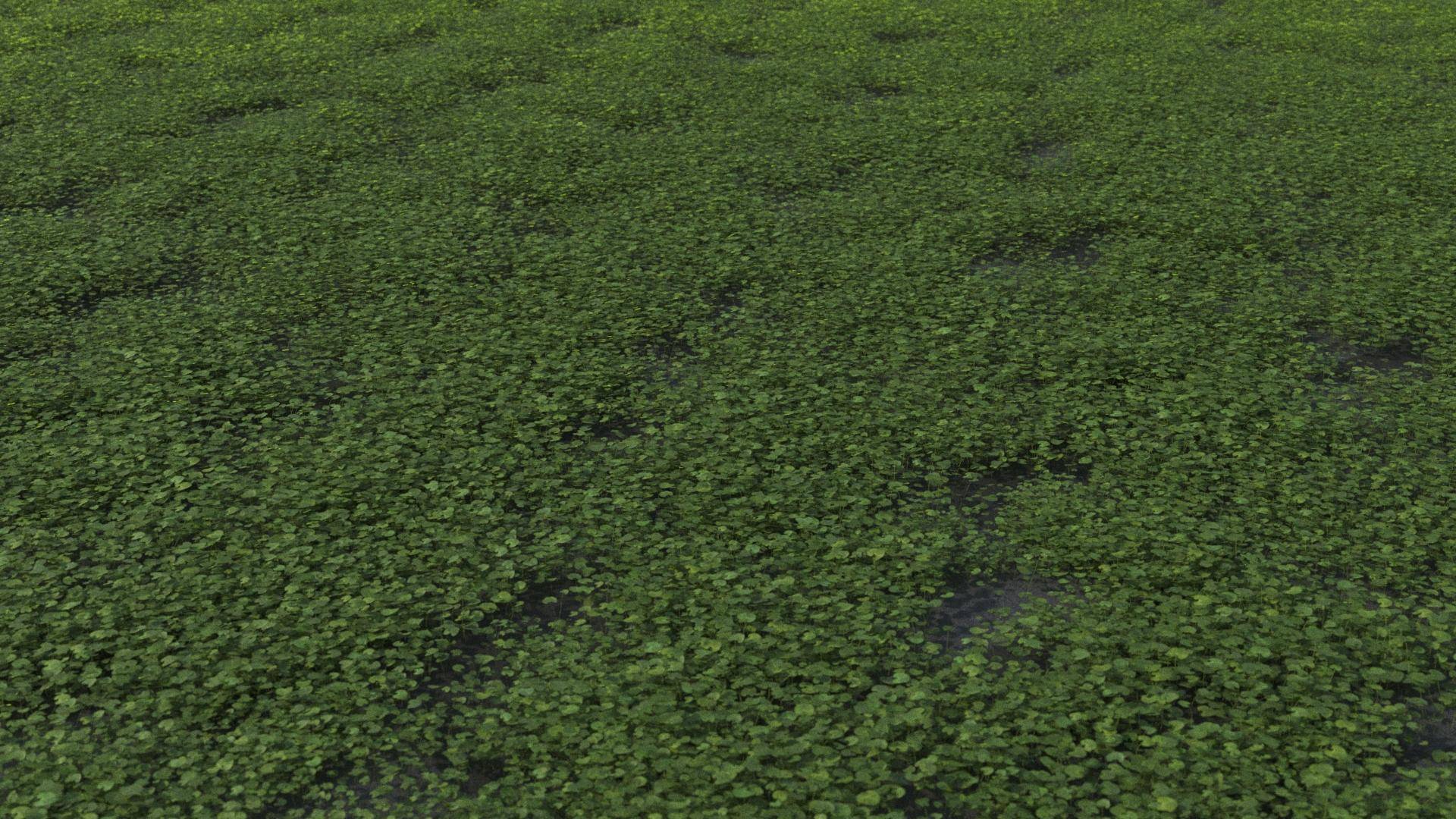 Purchase the Ground Cover Volume 1 The3dGarden 3d asset library ...