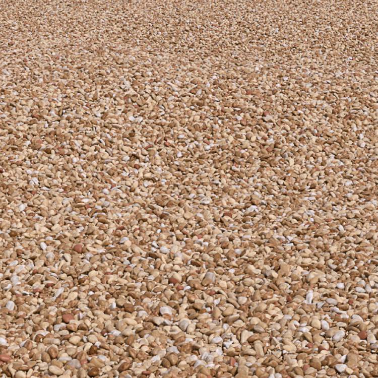 Golden Gravel Smooth - Large Area - Forest Pack library for 3ds Max