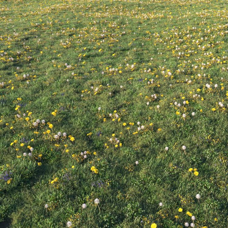 Unkempt Lawn AIO 2 (large) - Forest Pack library for 3ds Max