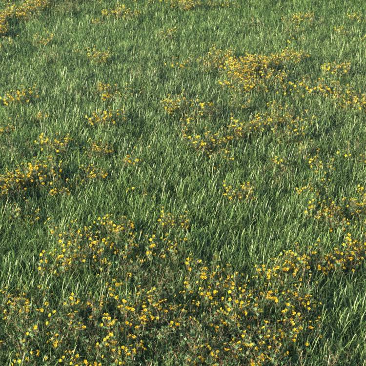 Unkempt Lawn AIO 3 (detail) - Forest Pack library for 3ds Max