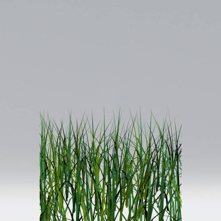 Grass - Forest Pack library for 3ds Max