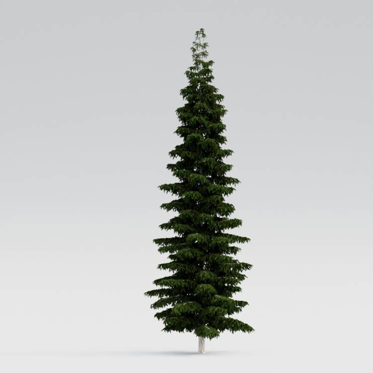 Himalayan Cedar 18M - The3dGarden Library for 3ds Max