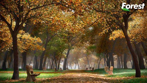 Tutorial - Getting Started with the Forest Color map