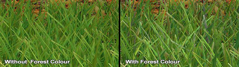 Tutorial - Getting Started with the Forest Color map