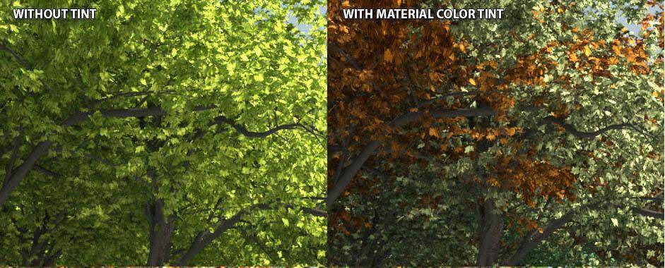 Tutorial - Getting Started with the Forest Color map