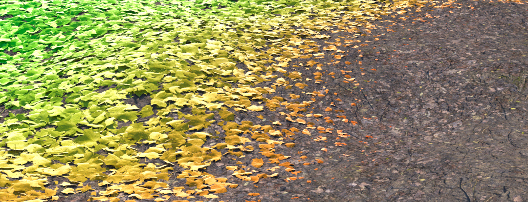 Tutorial - Introducing Forest Effects