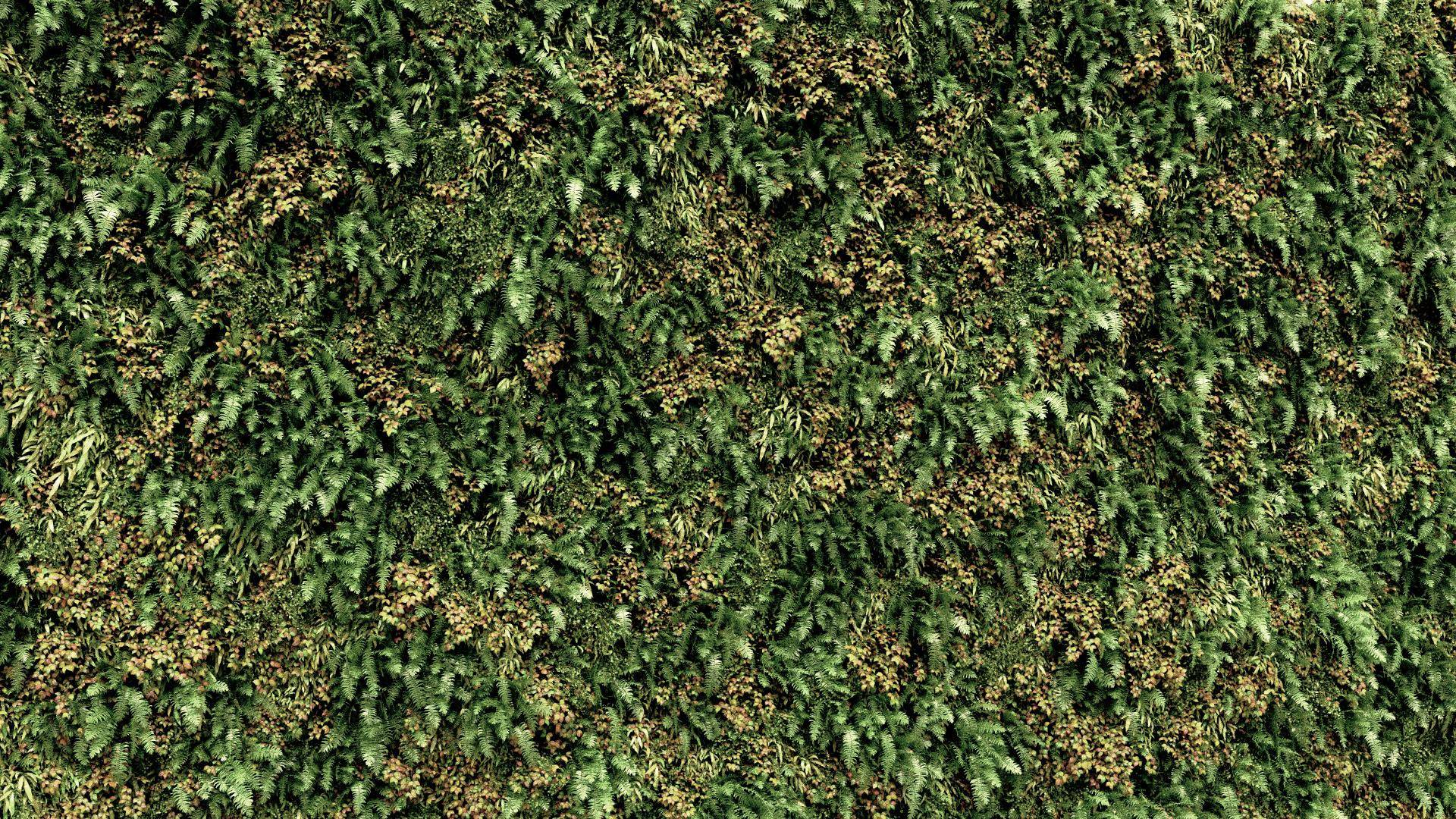 Tutorial - Scattering on Vertical Surfaces