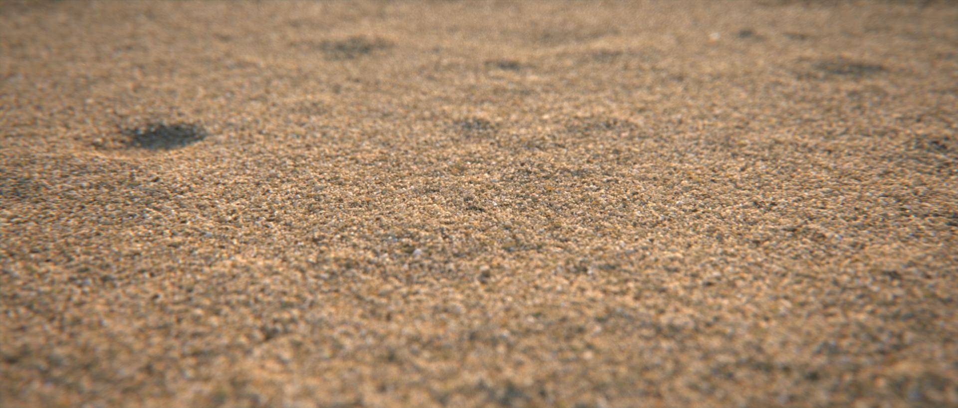 Tutorial - Creating detailed sand with Forest Pack